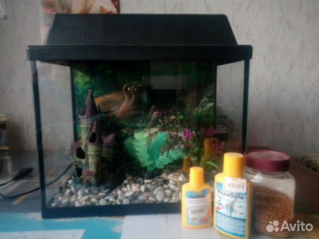 Аквариум 20 л. Всё в описании