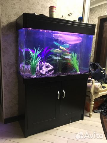 Аквариум 250-300л с тумбой