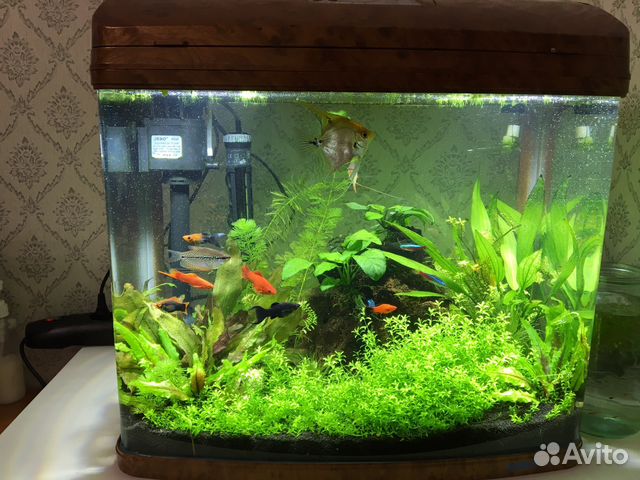 Аквариум Jebo r352 95л