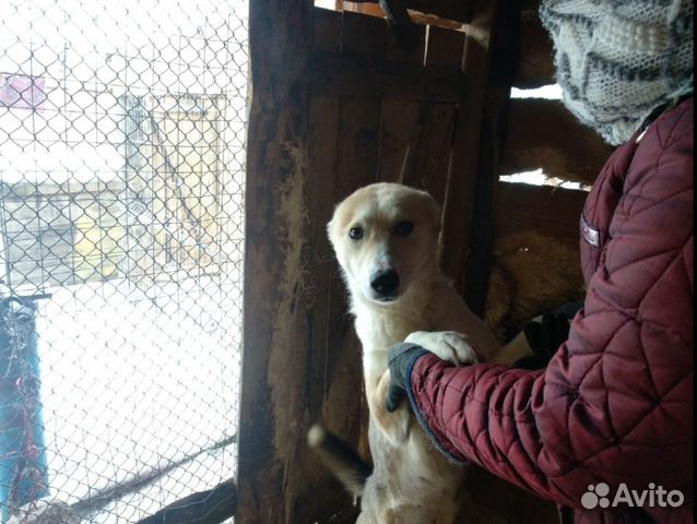 Ищет самые добрые ручки замечательная девочка Мия