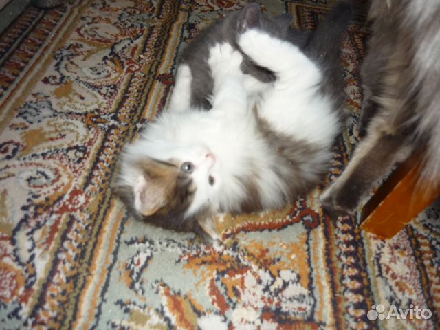 Много-много радости