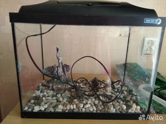 Аквариум Aqua Szut