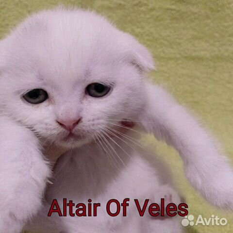 Малыши карандаши