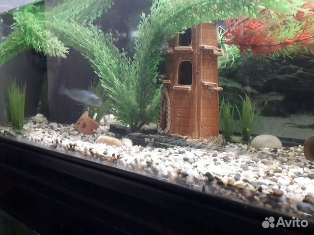 Продам аквариум
