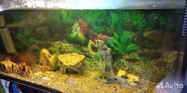 Аквариум с тумбой 400л