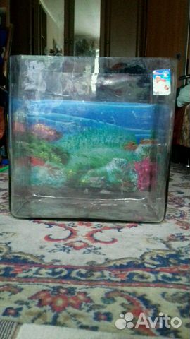 Аквариум