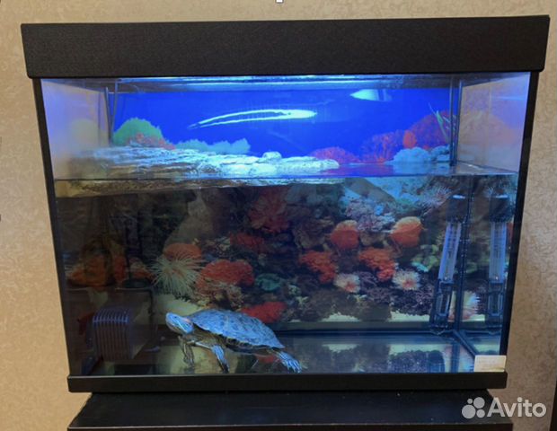 Аквариум 75л и красноухая черепаха