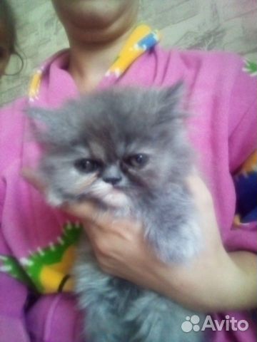 Отдам только в хорошие руки