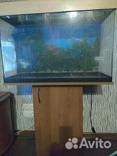 Аквариум