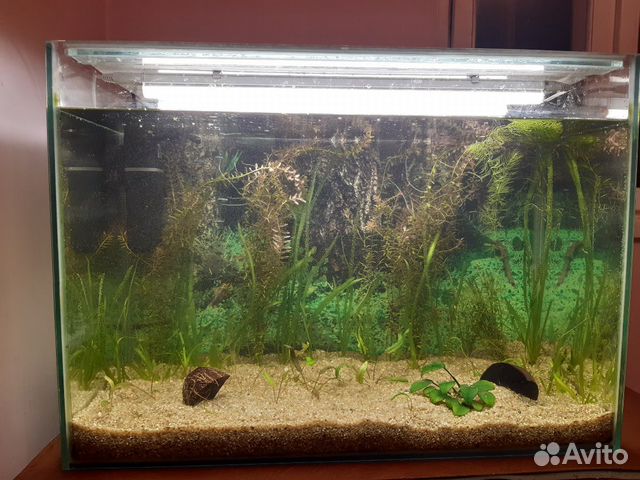 Аквариум 125 л
