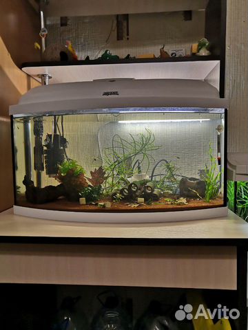 Аквариум