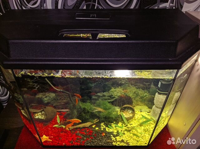 Аквариум панорамный 125-130 л. (толстые стекла)