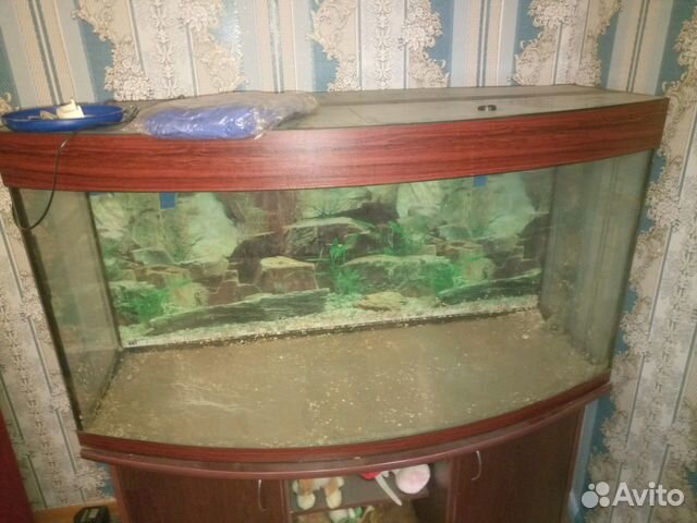 Аквариум панорамный 320 с тумбой