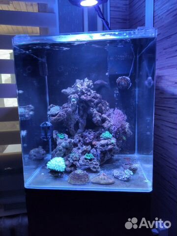 Морской аквариум Dennerle 60l