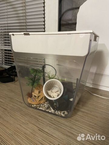 Акваферма Aqua Farm