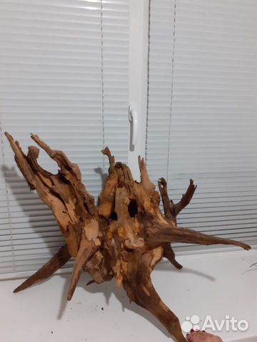 Коряги