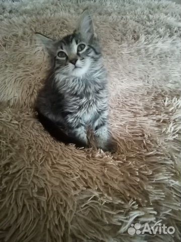 Очаровательная принцесса