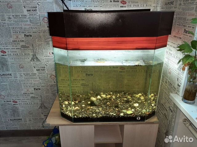 Аквариум 200 литров с тумбой и крышкой