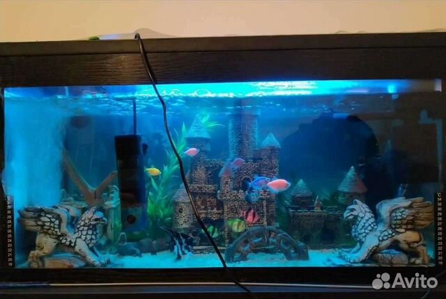 Аквариум с рыбками, оборудованием и атрибутикой