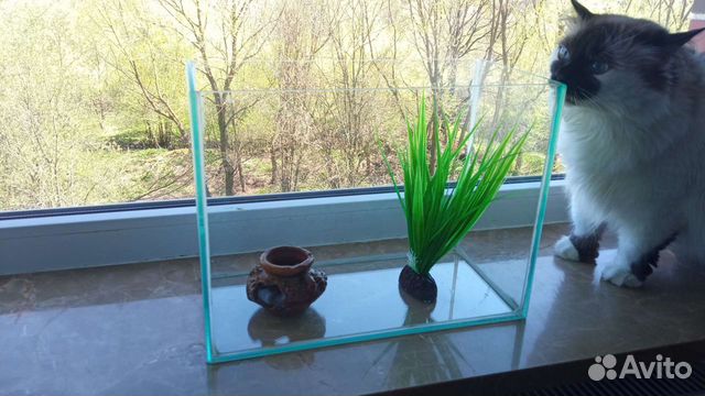 Аквариум на 15 литров