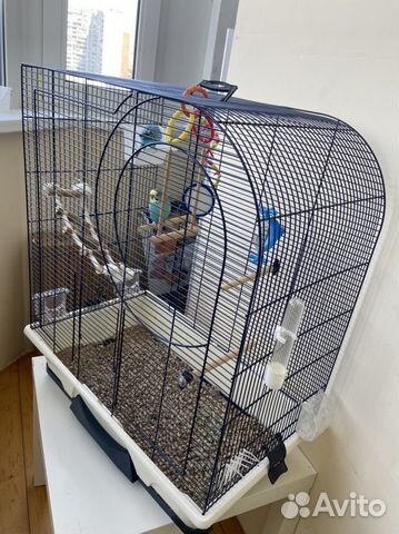 Большая клетка с двумя попугайчиками