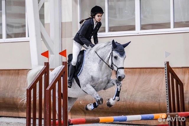 Кобыла 2011 г.р