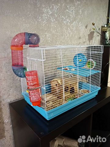 Клетка с джунгариком
