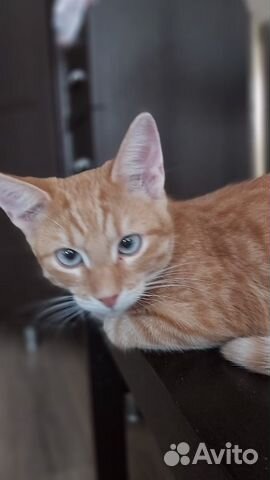 Чудесный парнишка в ласковые руки