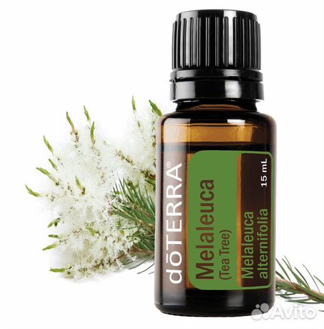 Эфирное масло Чайное дерево Дотерра Doterra 2мл купить в Москве ...