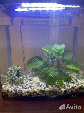 Аквариум Jebo338