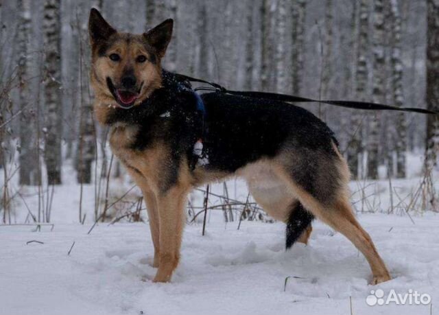 Ему нужна семья