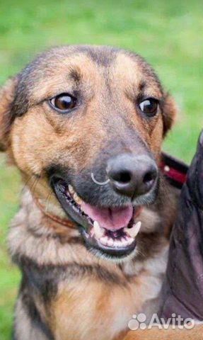 Мальчик из,черного приюта