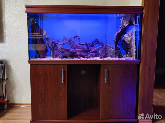 Аквариум с оборудованием на 300л