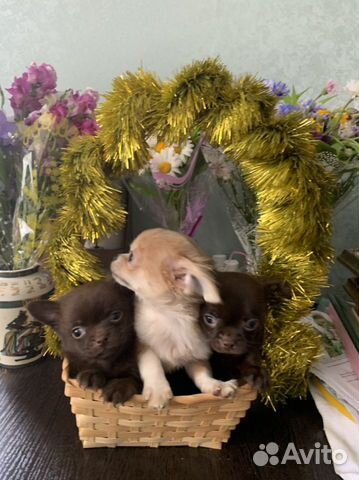 Корзина счастья