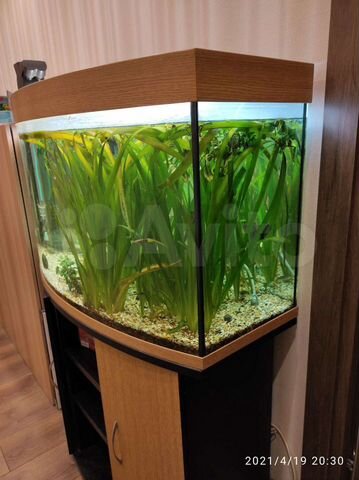 Аквариум с тумбой 200 литров