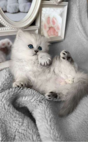 Сладкий пупсик