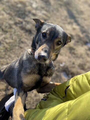 Ричи ищет дом