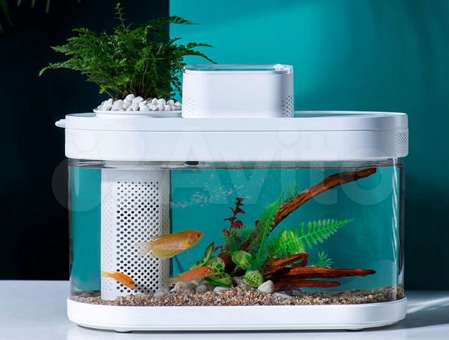 Аква-ферма Descriptive Geometry C180