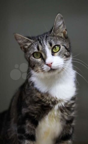 Вся такая загадочная Матильда мечтает о доме