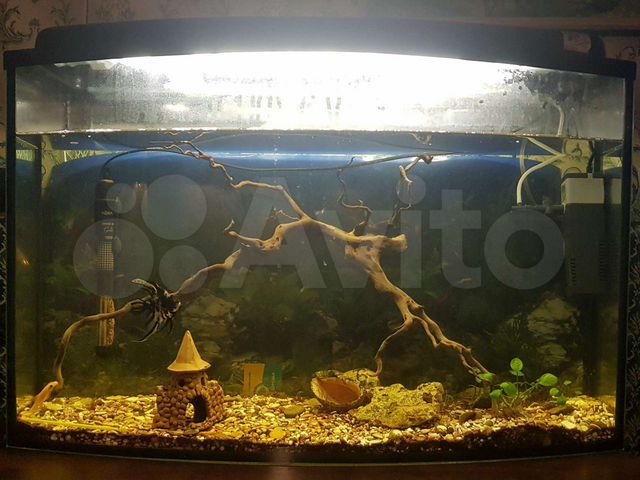 Аквариум 110л